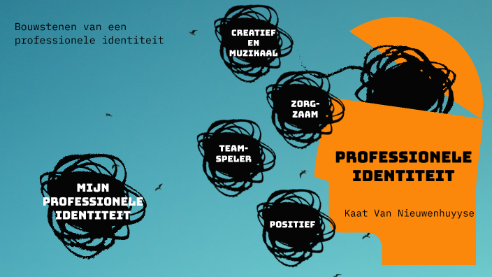 Bouwstenen van een professionele identiteit by Kaat Van Nieuwenhuyse on ...