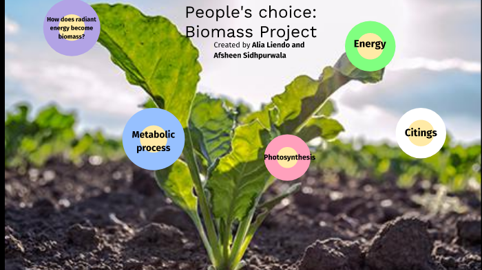 Science Biomass Project by Alia Liendo on Prezi