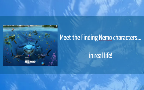 Meet the Finding Nemo Characters... in real life! by Erica R on Prezi