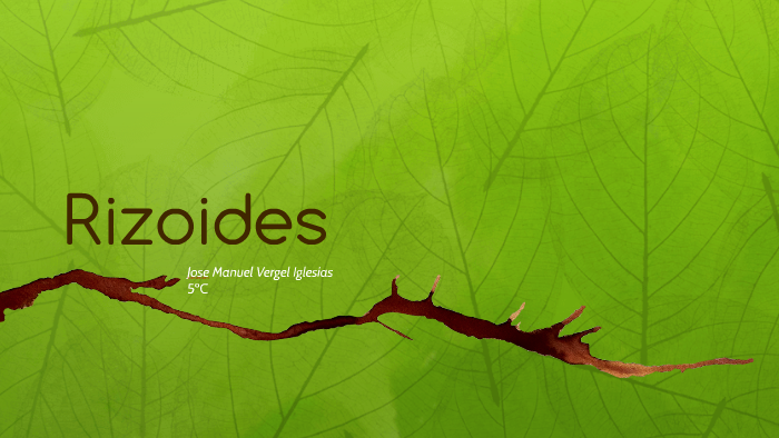 Rizoides by Víctor José Vergel Rodríguez on Prezi