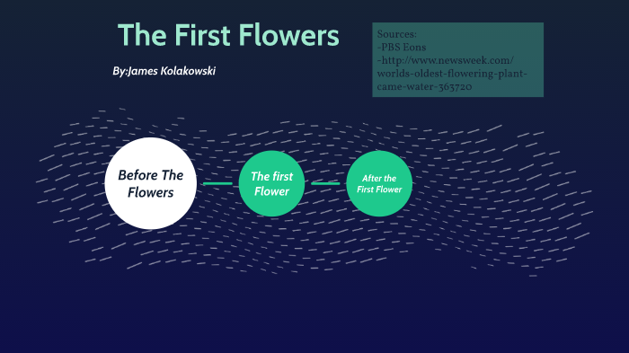 The first Angiosperms or flowers by james Kolakowski on Prezi