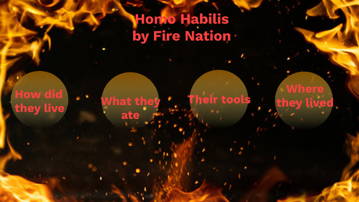 Homo Habilis by Fire Nation by on Prezi
