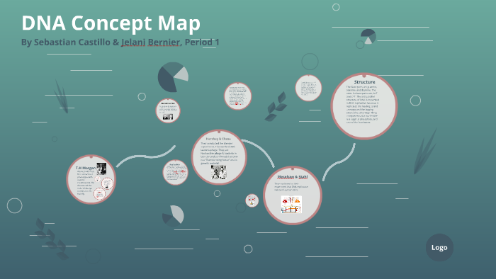 DNA Concept Map by Sebastian Castillo on Prezi