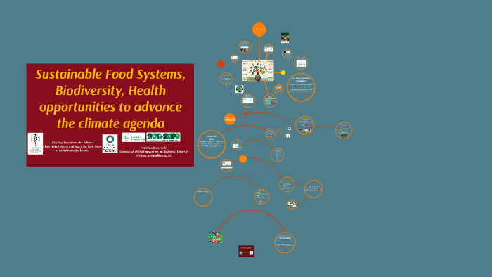 Sustainable and Healthy Food Systems Challenges and Opportunities by ...