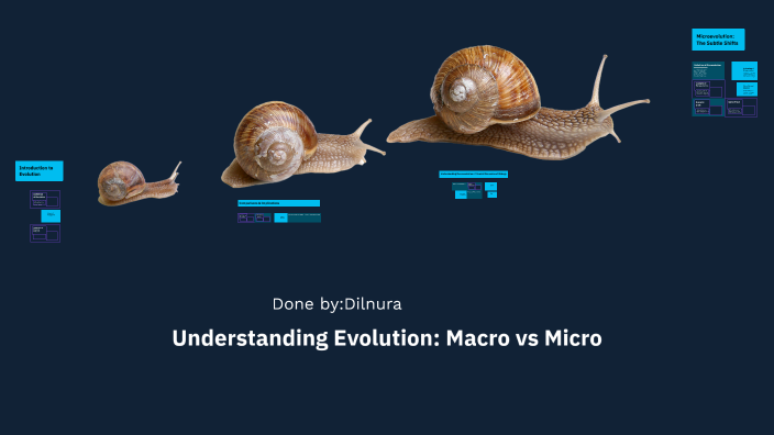Understanding Evolution: Macro vs Micro by Dilnura Abdurakhmanova on Prezi