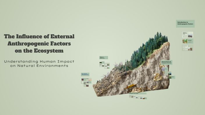The Influence of External Anthropogenic Factors on the Ecosystem by ...