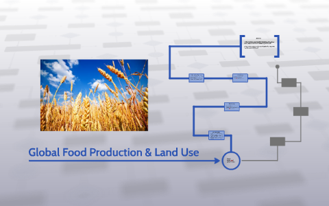 Global Food Production & Land Use by Jordan Lund