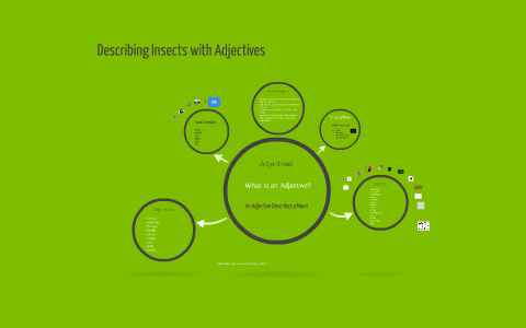 Describing Insects with Adjectives by Betsy Dasenko on Prezi