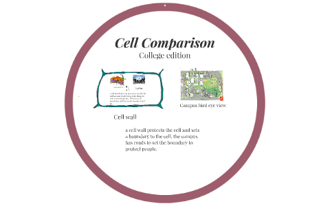 Cell Comparison by on Prezi