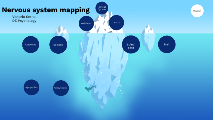 nervous system mapping by VICTORIA SERNA on Prezi