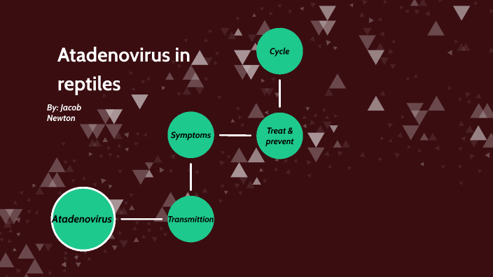 Atadenovirus by j p on Prezi