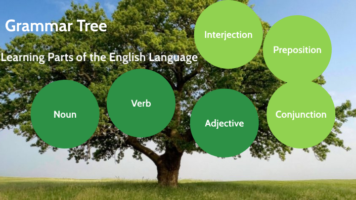 Grammar Tree by Aubrey Walters [Guinn MS] on Prezi