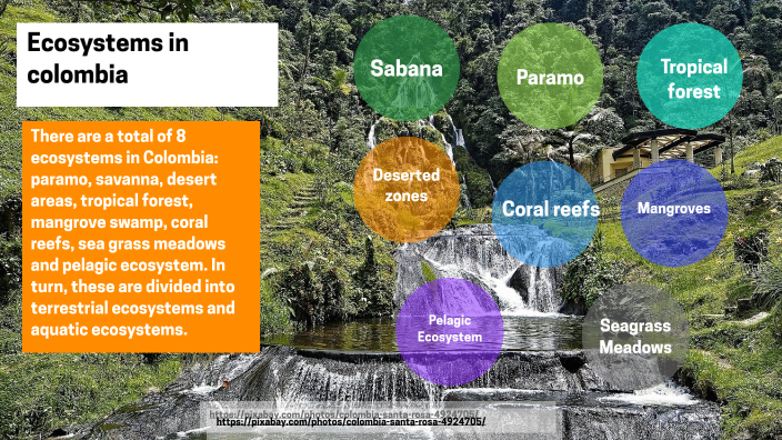 ecosystems in colombia by Esteban Arango on Prezi