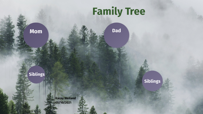 Kacey's Family Tree by Kacey Weiland on Prezi