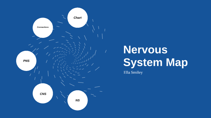 Nervous System Map by Ella Smiley on Prezi
