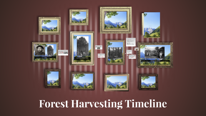 Forest Harvesting Timeline by Adrian Zedrin Fernandez on Prezi