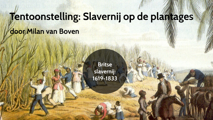 Slavernij op de plantages by Tatum van Boven on Prezi