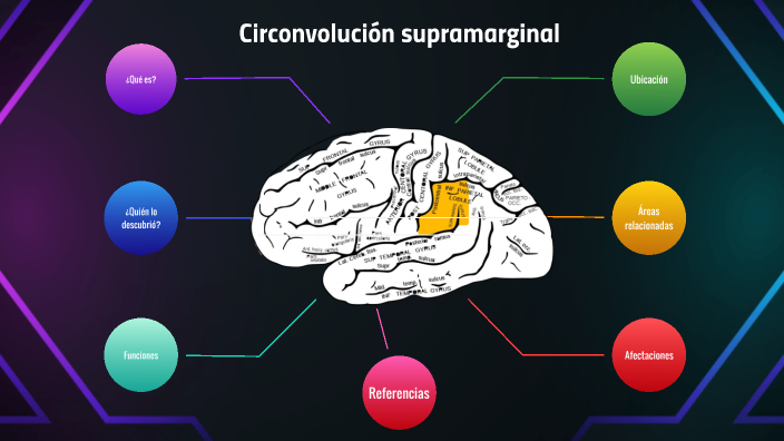 Circonvolución supramarginal by José Antonio Díaz Patiño on Prezi