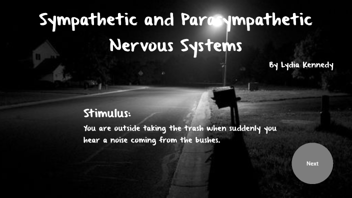 Lydia Kennedy - Sympathetic and Parasympathetic Nervous Systems Project ...