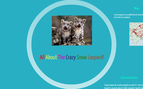 Snow Leopards by Jason Grewal on Prezi
