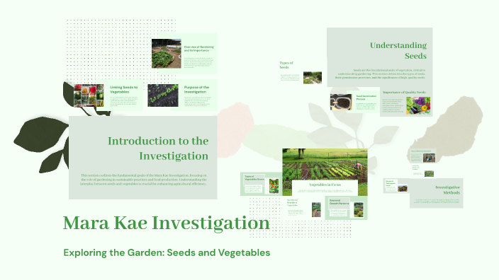 Mara Kae Investigation by mark lugtu on Prezi