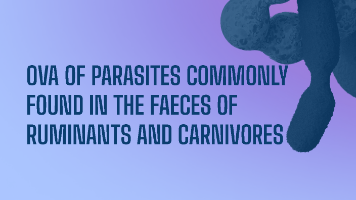 OVA OF PARASITES COMMONLY FOUND IN THE FAECES OF RUMINANTS by Nazeeba ...