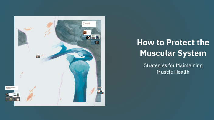How to Protect the Muscular System by abderrahman on Prezi