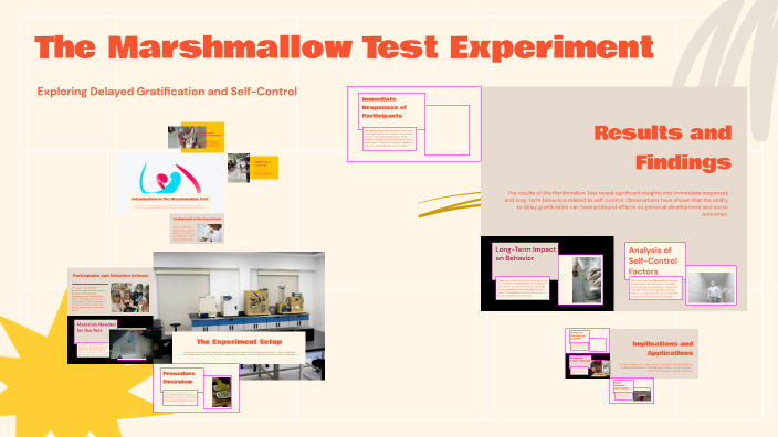 The Marshmallow Test Experiment by Полина Прокофьева on Prezi