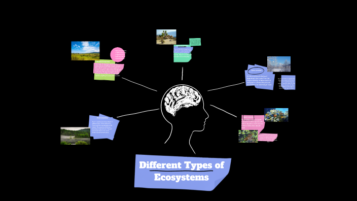 Different Types of Ecosystems by valentina balbin bedoya on Prezi