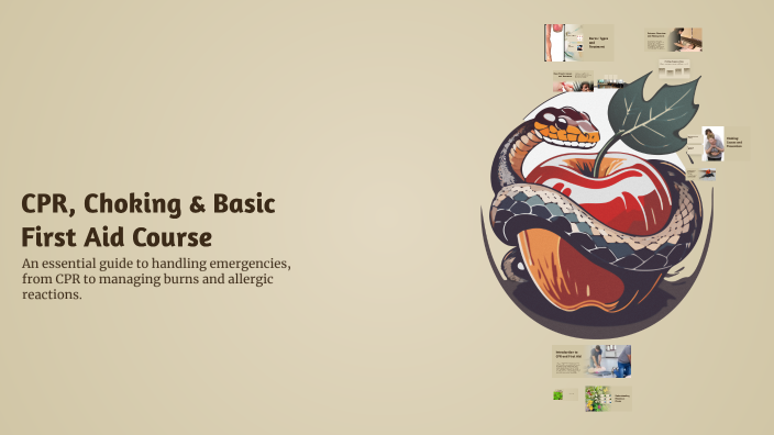 CPR, Choking & Basic First Aid Course by Charlene Van Tonder on Prezi