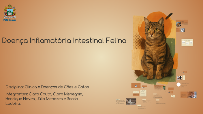 Doença Inflamatória Intestinal Felina: Diagnóstico e Tratamento by ...
