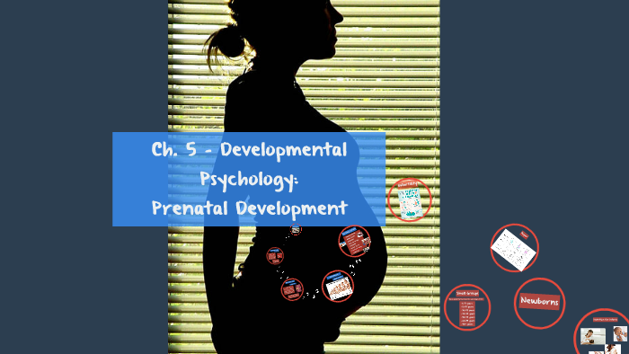 Ch. 5 Developmental Psyc: Prenatal Development & Birth by Cristy Pratt ...