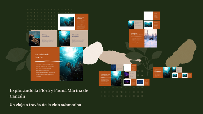 Explorando la Flora y Fauna de Cancún by Ana Goebel on Prezi