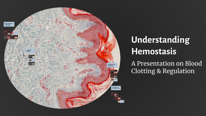 Understanding Hemostasis by Sandy Walker on Prezi