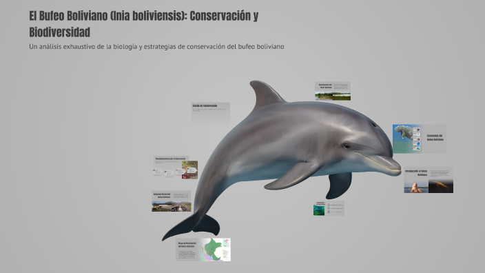El Bufeo Boliviano (Inia boliviensis): Conservación y Biodiversidad by ...