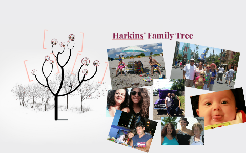 Harkins' Family Tree by Michelle Harkins on Prezi