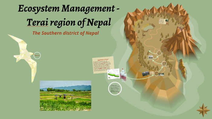 Ecosystem Management - Terai region of Nepal by Zahra Moolla on Prezi