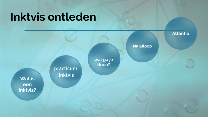 Inktvis by Anita Leeuwis on Prezi