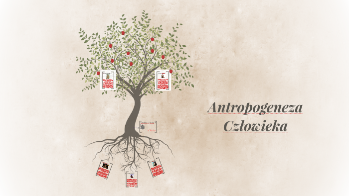 Antropogeneza Człowieka by Monika Pytka on Prezi