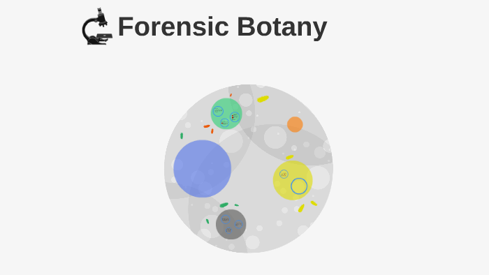 Forensic Botany by Hannah M on Prezi