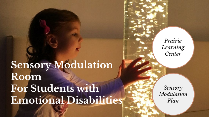 Sensory Modulation Room for Students with Emotional Disabilities by ...