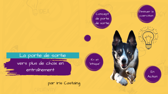 Coercition and R+ by Iris n'co on Prezi