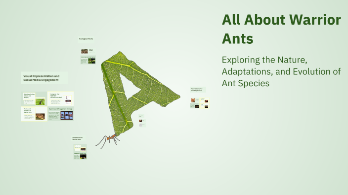All About Warrior Ants by Amy Chacko on Prezi