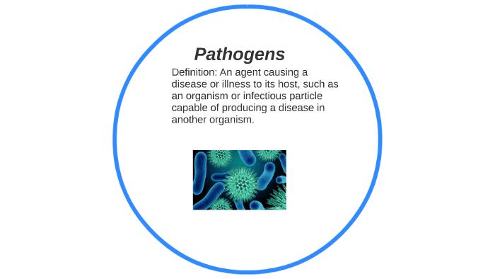 Pathogens by Tomi Anania on Prezi