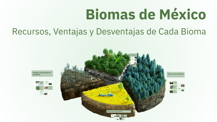 Biomas de México by HECTOR COMUNICACION on Prezi