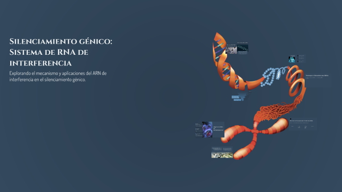 Silenciamiento génico: Sistema de RNA de interferencia by Rosa Caro on ...