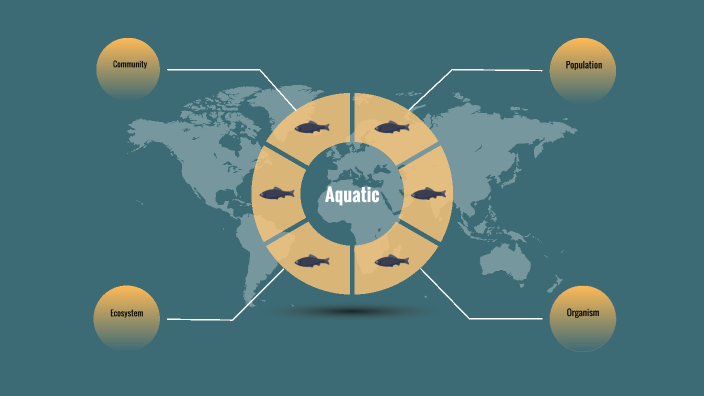 Ecologic Organizational Diagram by Paxtyn Piper on Prezi
