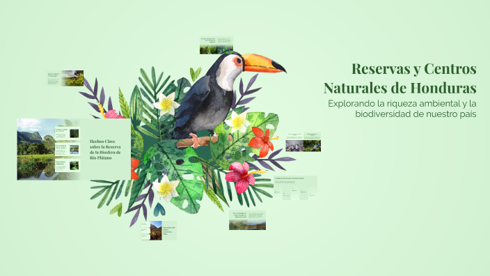 Reservas y Centros Naturales de Honduras by Jefry hernandez on Prezi
