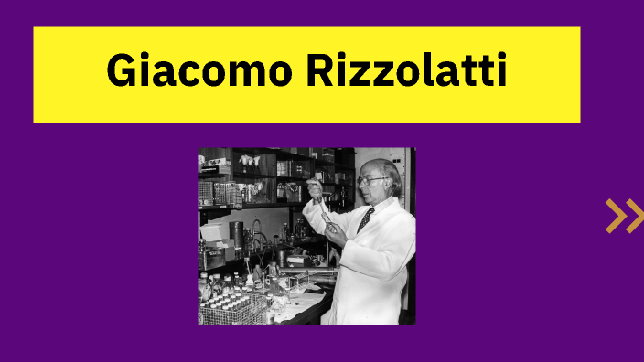 Giacomo Rizzolatti è nato a Kiev ex Unione Sovietica nel 1937,da una ...