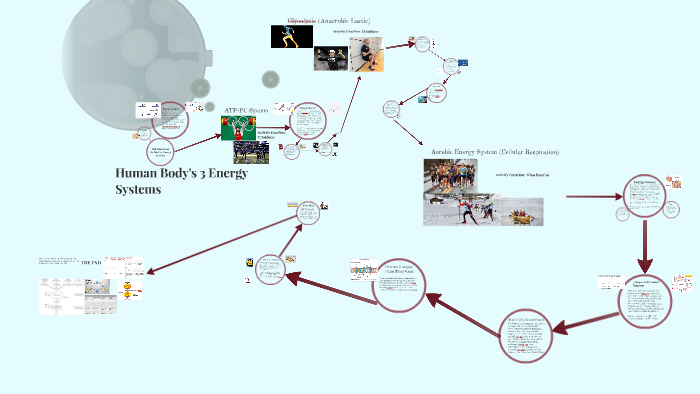 Human Body's 3 Energy Systems by Ved Hatolkar on Prezi